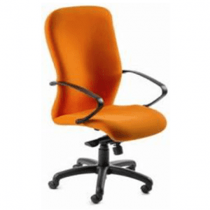 Paula High Back Chair – Cape Seating Manufacturing