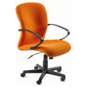 Paula Mid Back Chair – Cape Seating Manufacturing