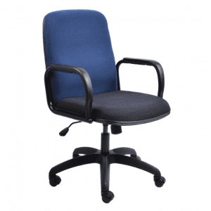 Paula Loop Arm Range High Back – Cape Seating Manufacturing