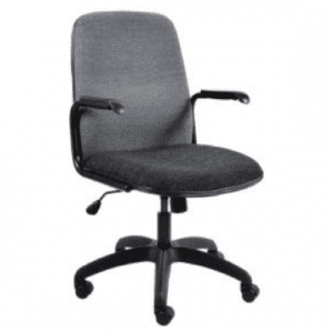 Paula Mid Back Chair – Cape Seating Manufacturing